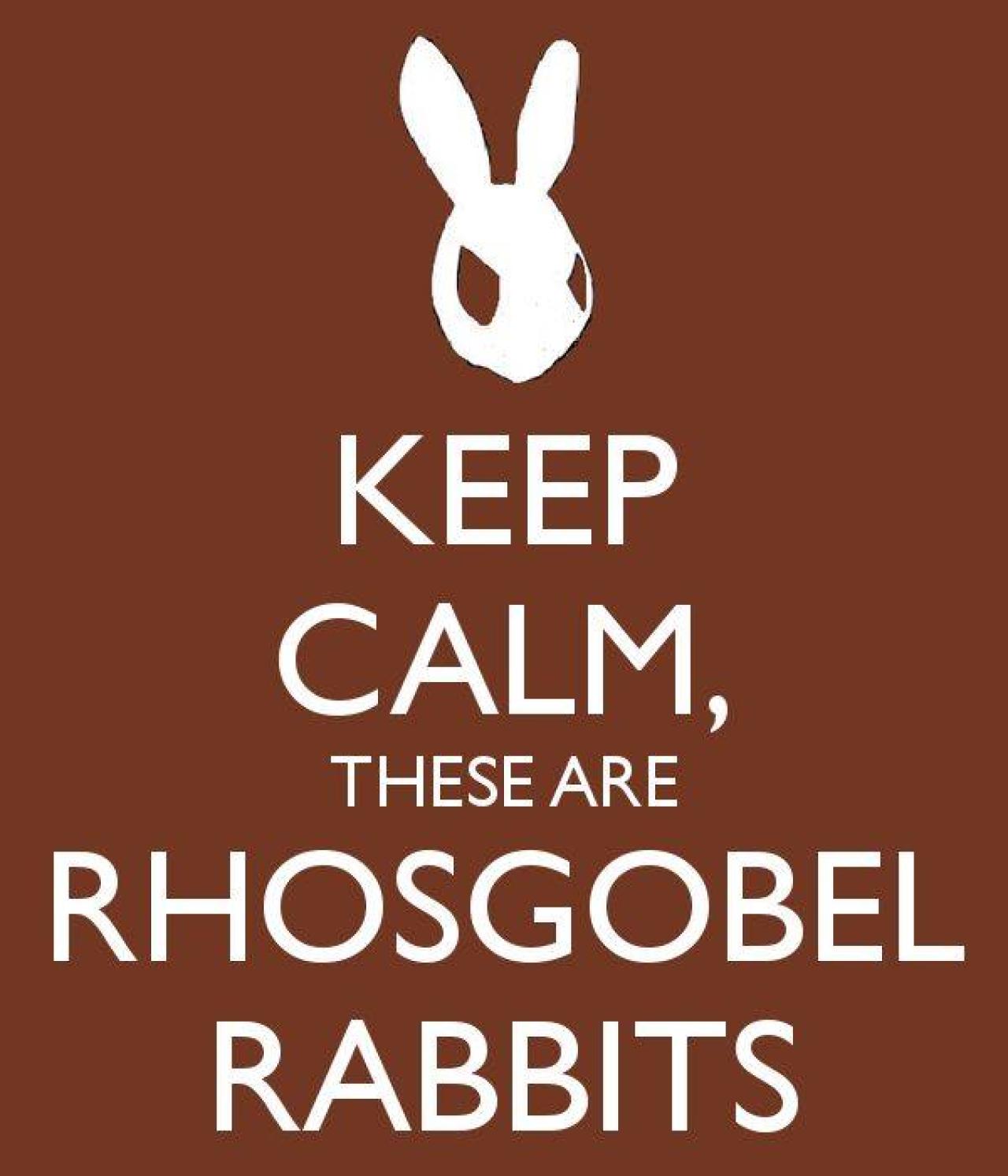 Rhosgobel Rabbits - Gallery - Mad Hatter | PINK BUNNIES